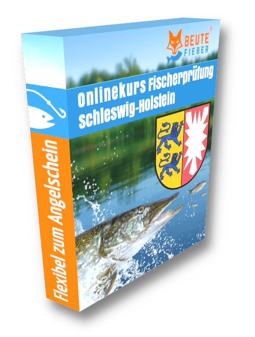 Angelschein Schleswig Holstein ️ Fischereischein online machen